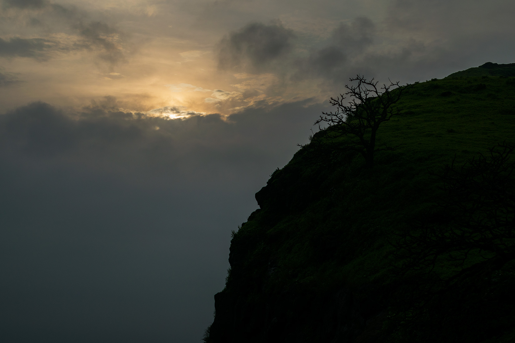 Juxtaposition in Photography (10 Ways to Use Juxtaposition in ...