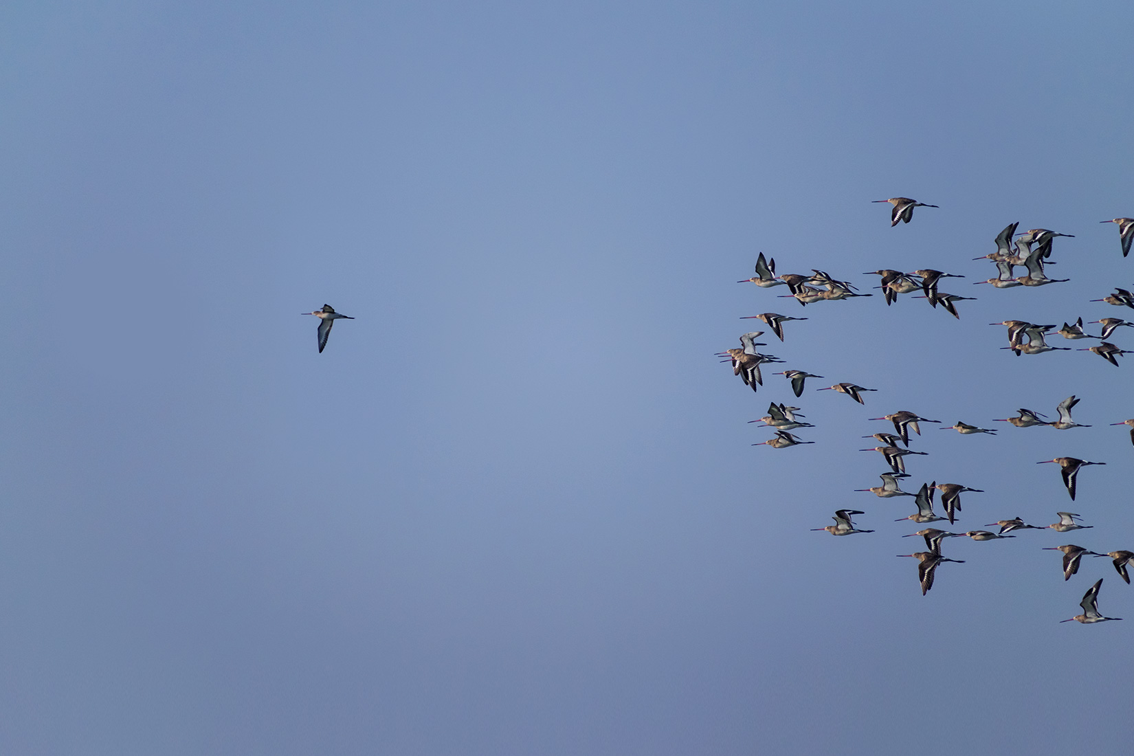 Juxtaposition in Photography (10 Ways to Use Juxtaposition in ...