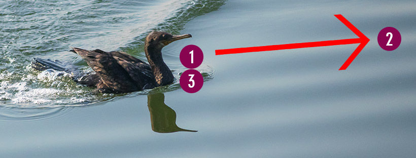 Rule Of Space (What is the Rule of Space & How To Use It in Photography ...