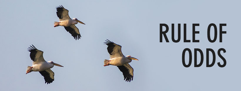 Rule Of Odds | What is the Rule of Odds and How to Use it in ...