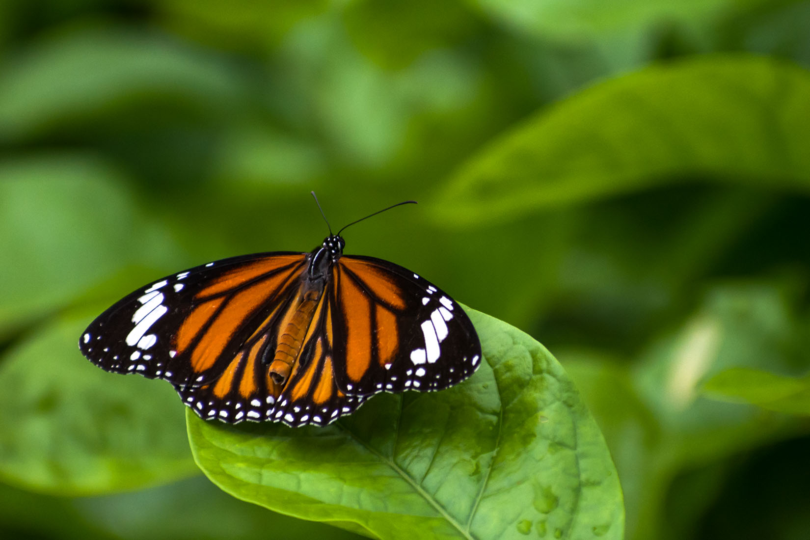 Balance in Photography (5 Types of Balance and 5 Tips for Balance in ...