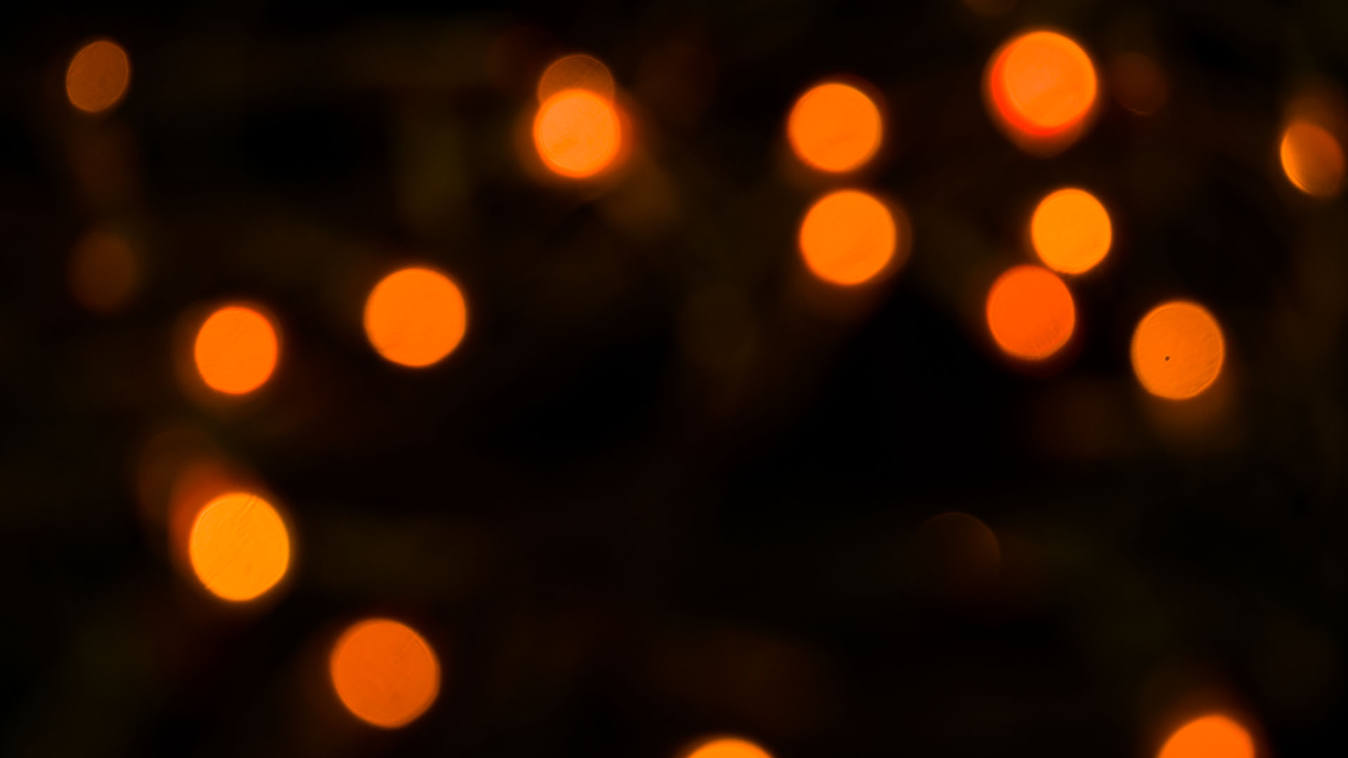 Bokeh Photography Tips (3 Basic Tips on How to Blur The Background with ...