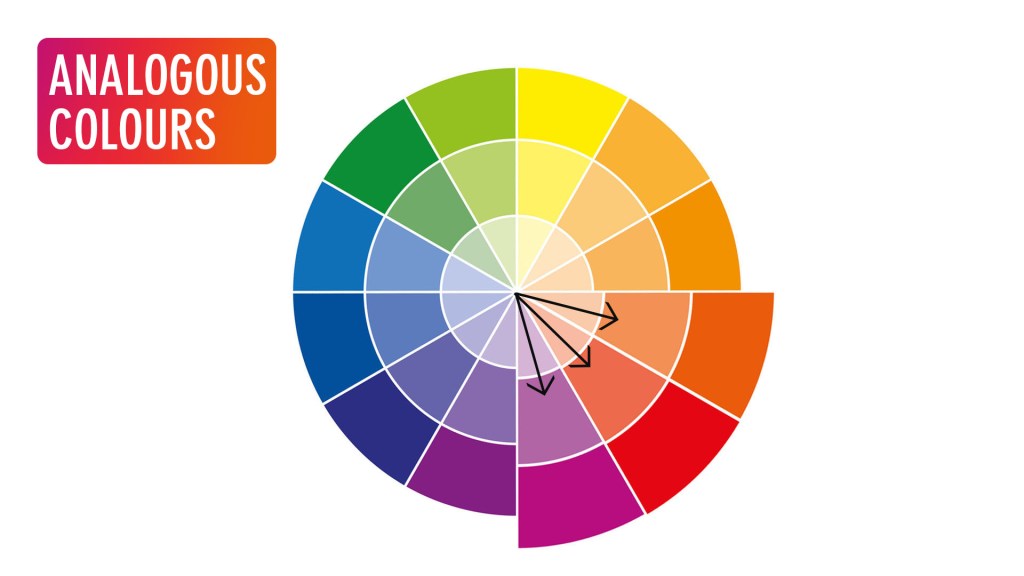 Use Contrast in Photography (5 Types of Contrast and How to Use in ...