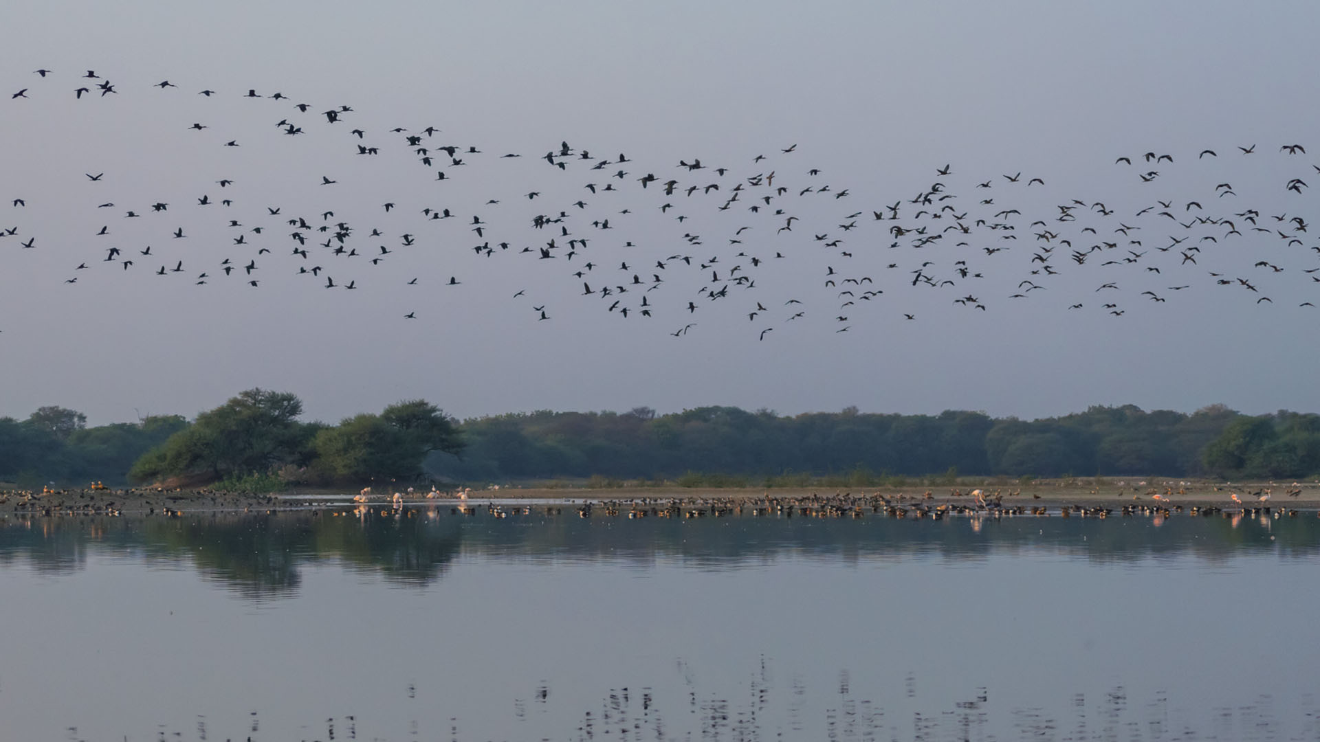 Horizontal vs Vertical Orientation (10 Tips to Use Landscape or ...