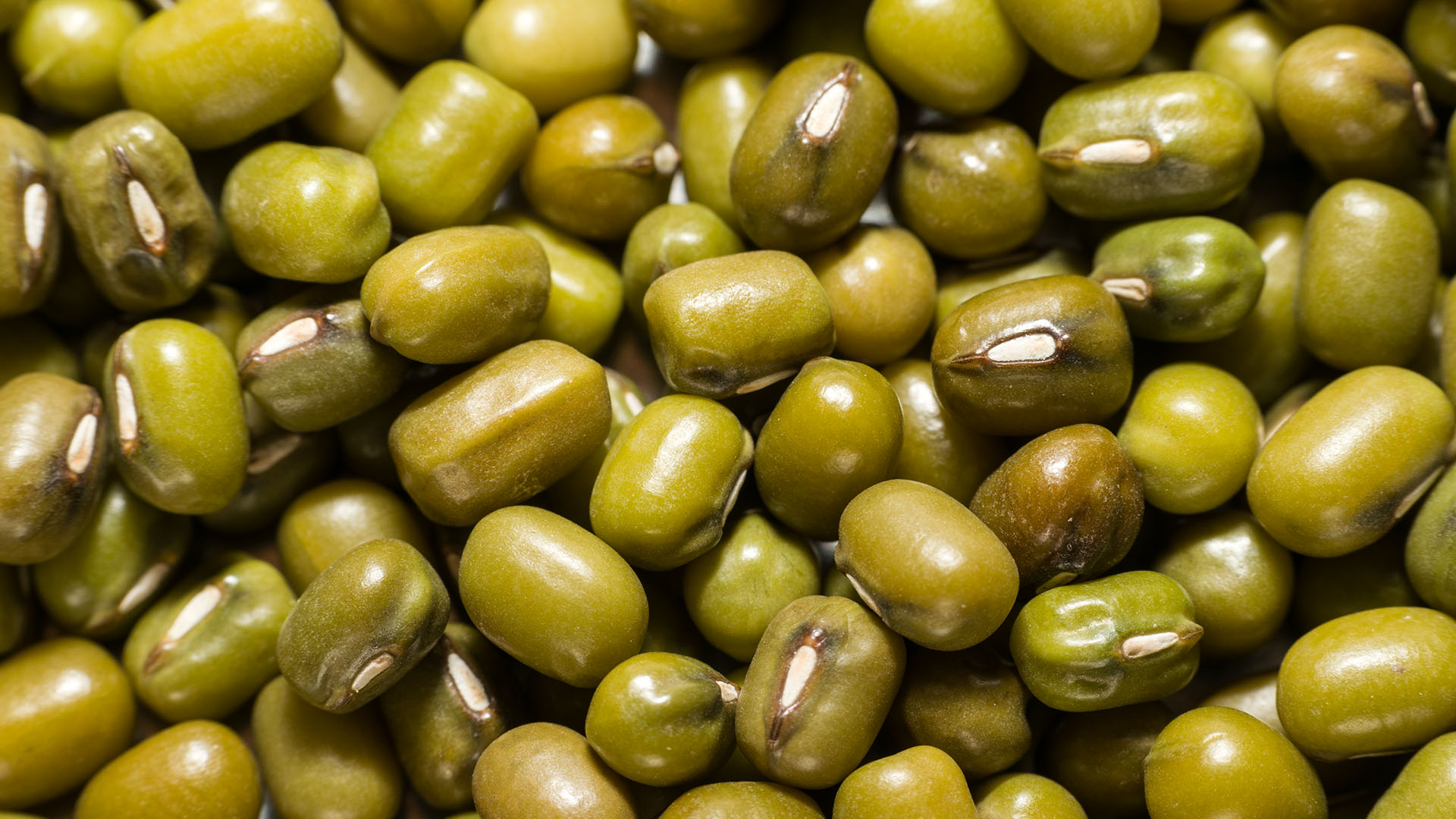 Repetition & Patterns in Photos (4 Types of Repetition in Photography ...