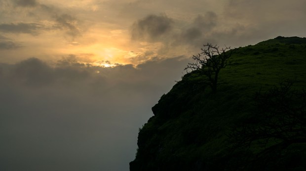 Use Contrast in Photography (5 Types of Contrast and How to Use in ...