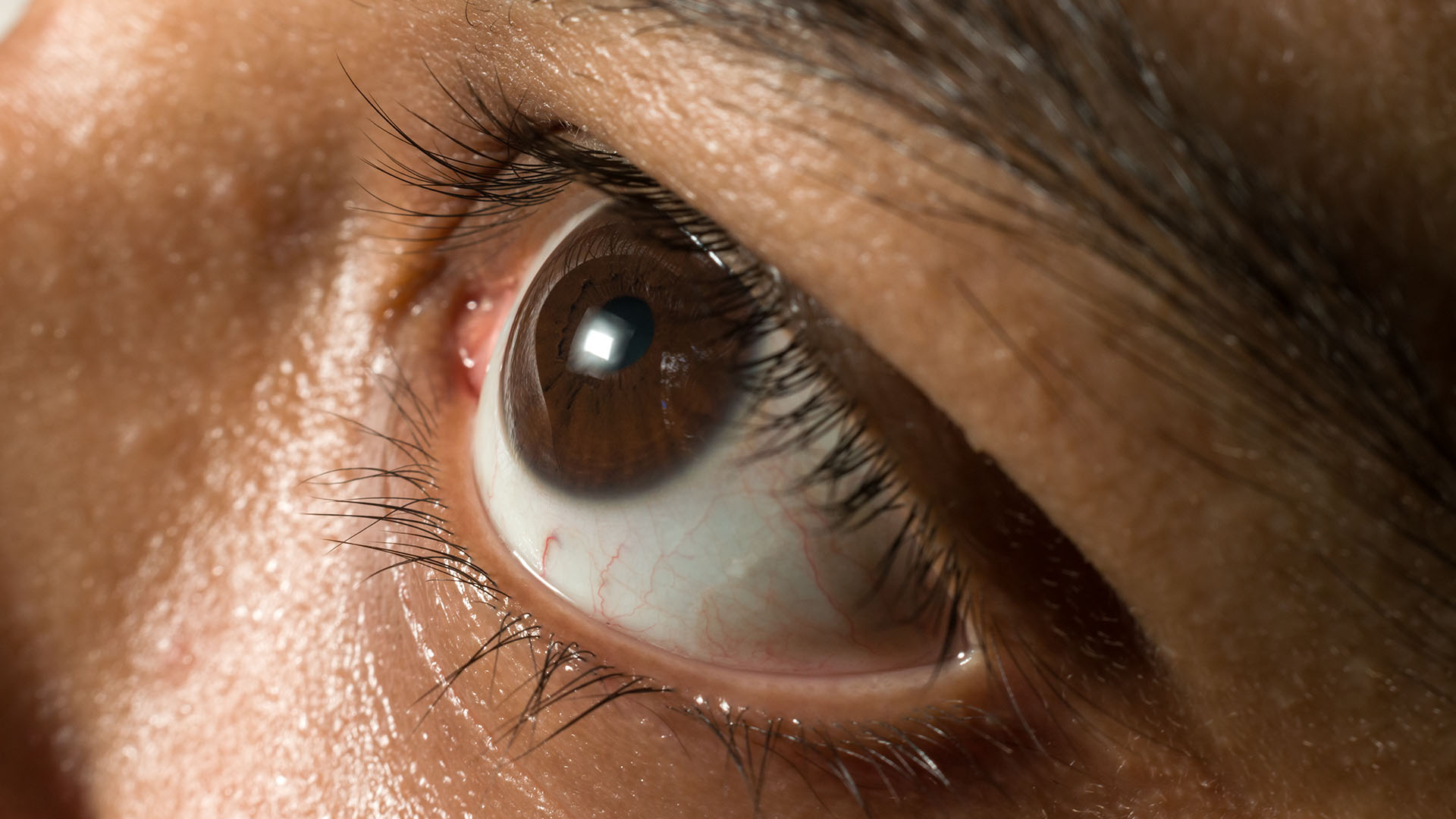 How to Use Triangles in Photography (3 Types of Triangles in ...