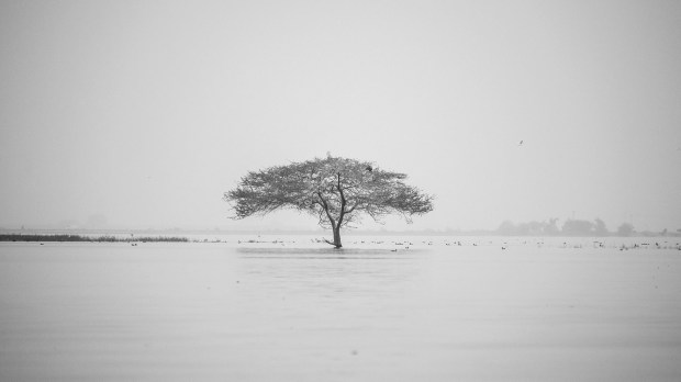 Minimalism in Photography (10 Tips to Use Minimalism in Photography ...