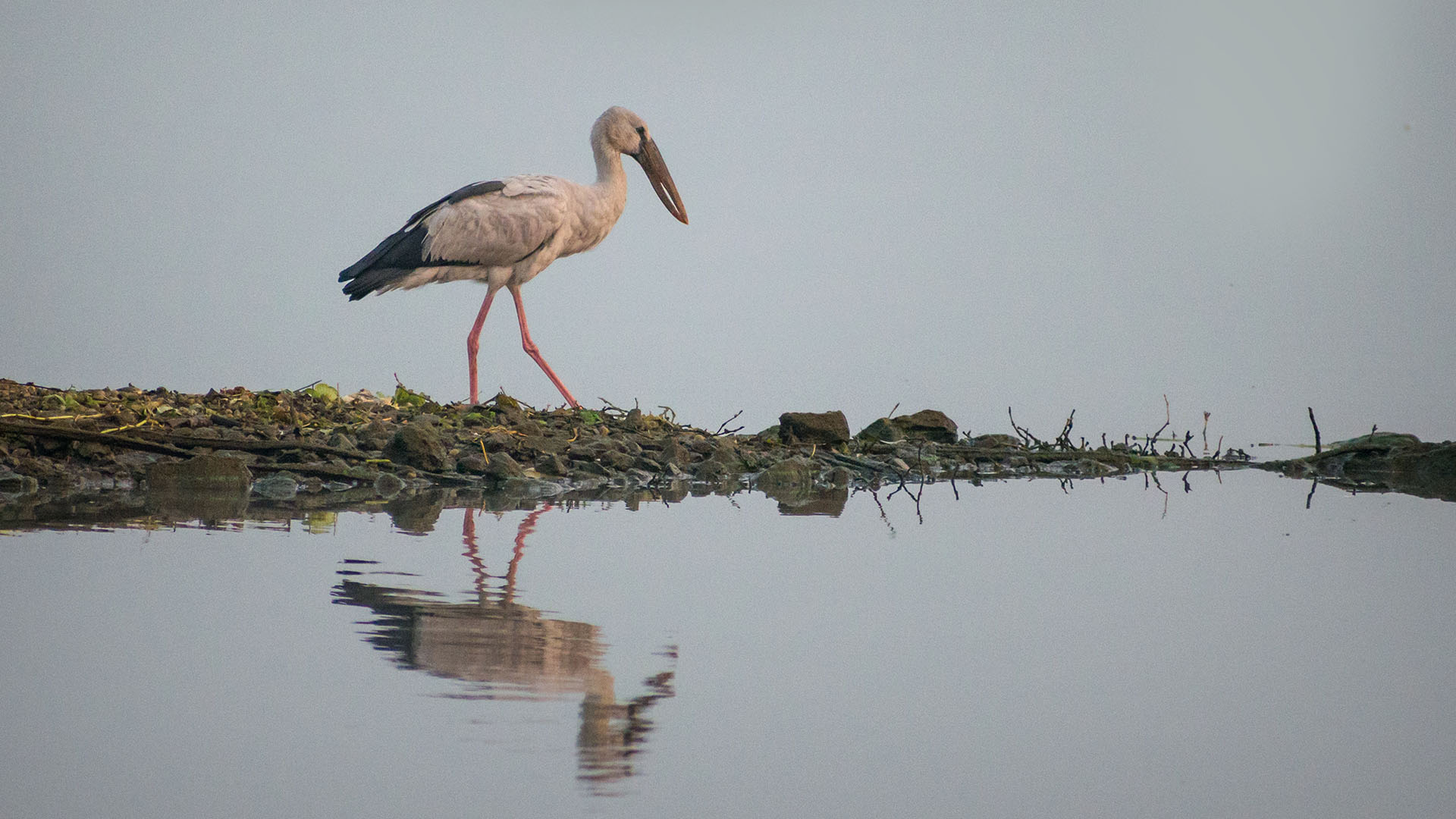 Balance in Photography (5 Types of Balance and 5 Tips for Balance in ...