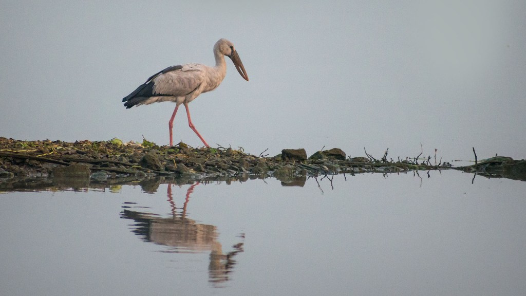 Horizontal vs Vertical Orientation (10 Tips to Use Landscape or ...