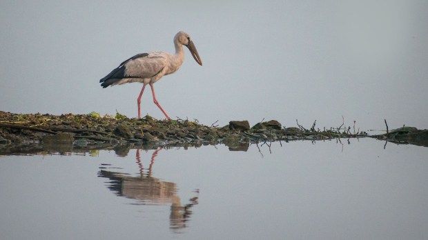 Horizontal vs Vertical Orientation (10 Tips to Use Landscape or ...