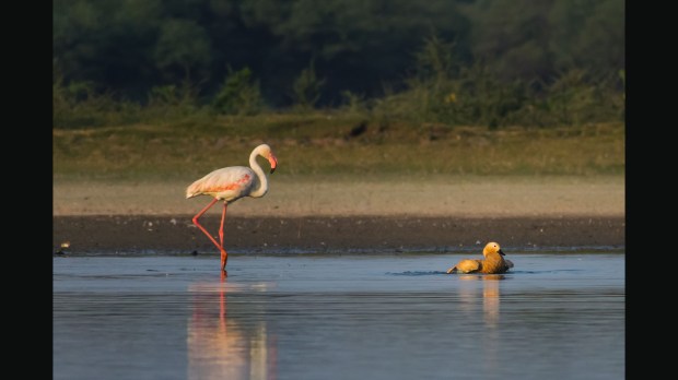 Balance in Photography (5 Types of Balance and 5 Tips for Balance in ...