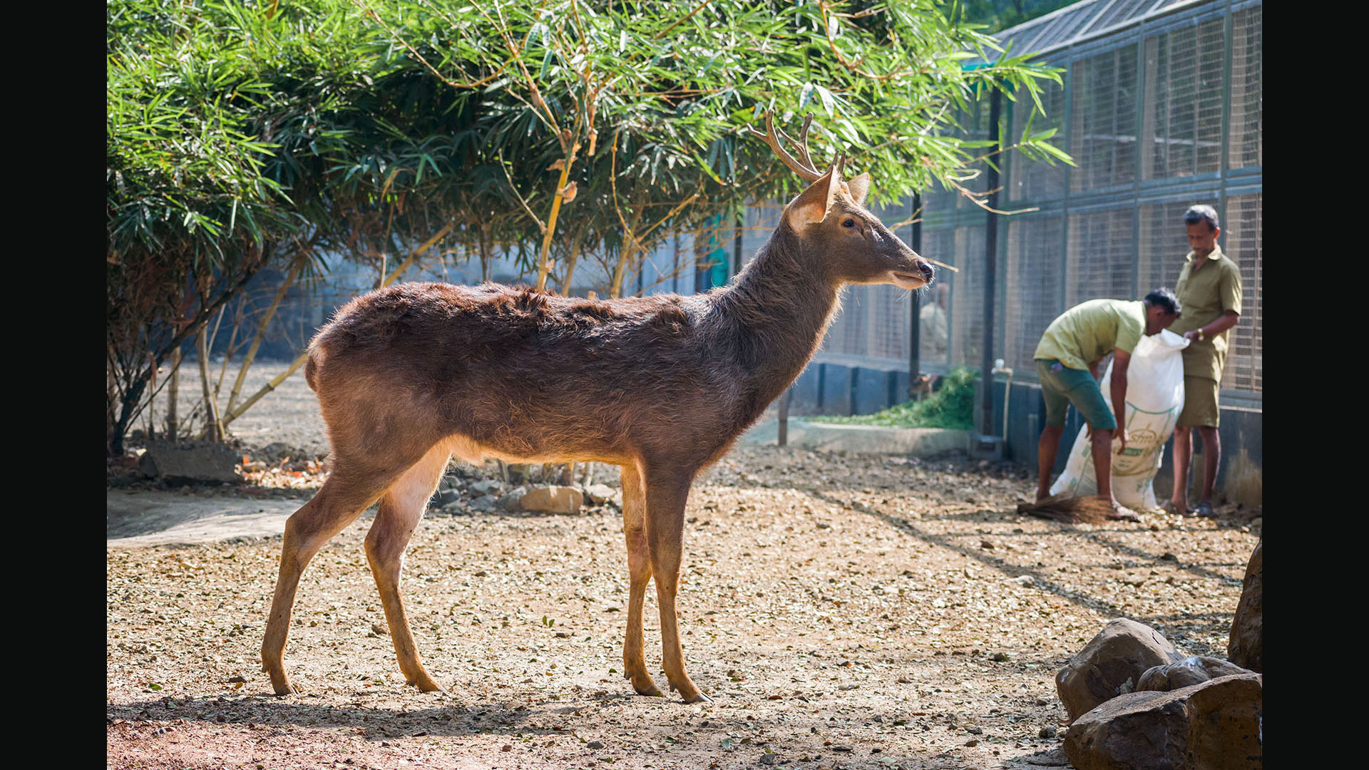 Balance in Photography (5 Types of Balance and 5 Tips for Balance in ...