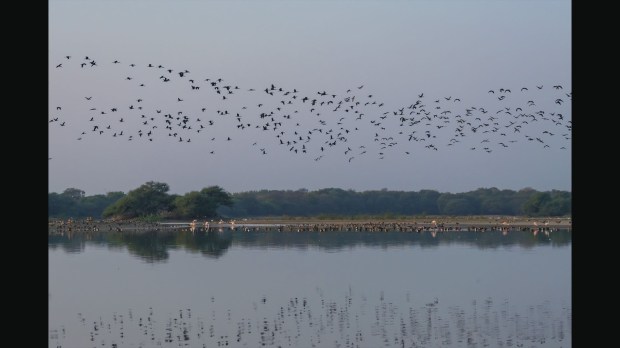 Balance in Photography (5 Types of Balance and 5 Tips for Balance in ...