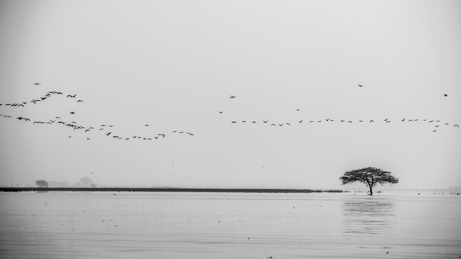 Balance in Photography (5 Types of Balance and 5 Tips for Balance in ...