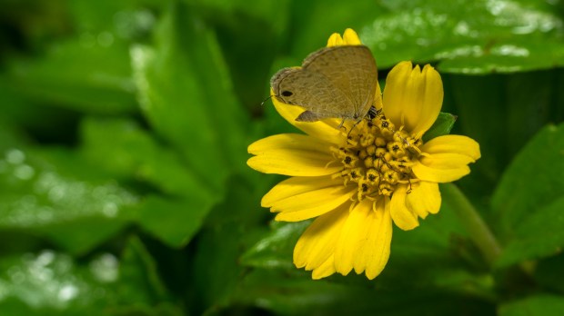 Horizontal vs Vertical Orientation (10 Tips to Use Landscape or ...